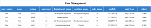 HR Reporting & Dashboard Templates, Example, Structure