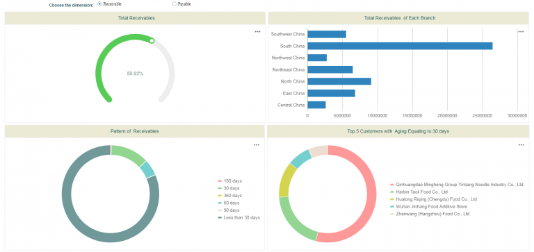 Financial Reporting & Financial Analysis: Definitive Guide | FineReport